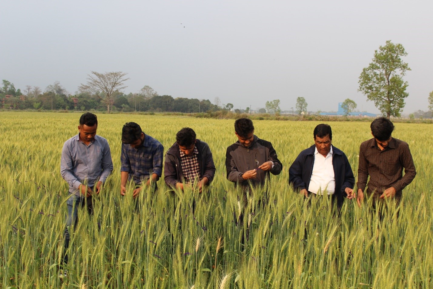 Innovative Seed System (Nepal) | Sathguru