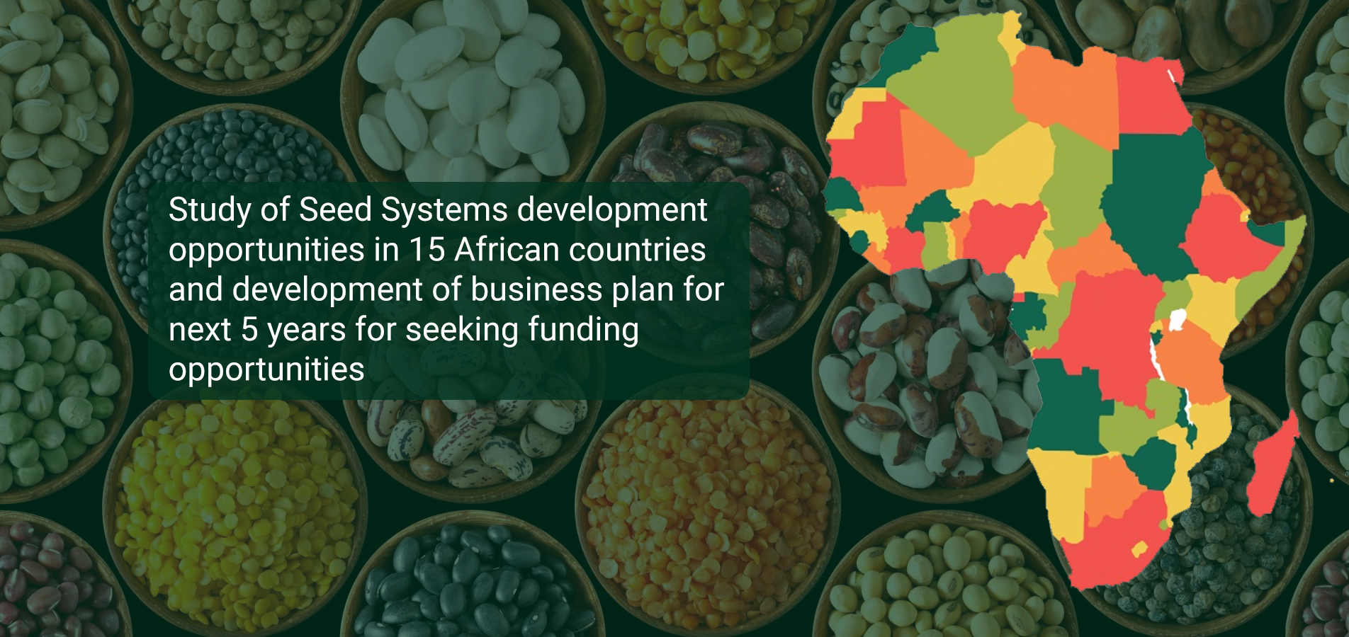 SSG-2020-2025-Business-Plan-Summary - International Development