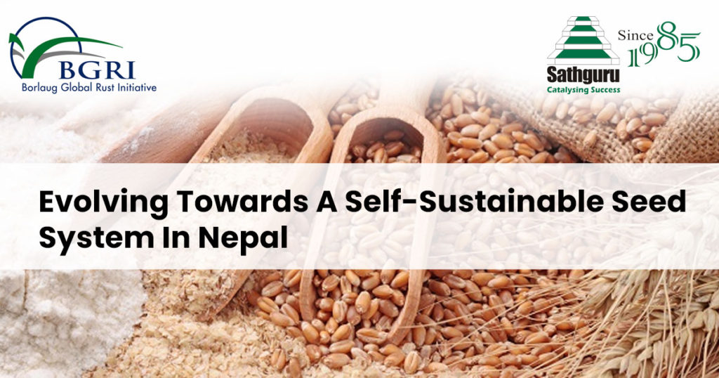 Evolving Towards A Self-Sustainable Seed System In Nepal ...