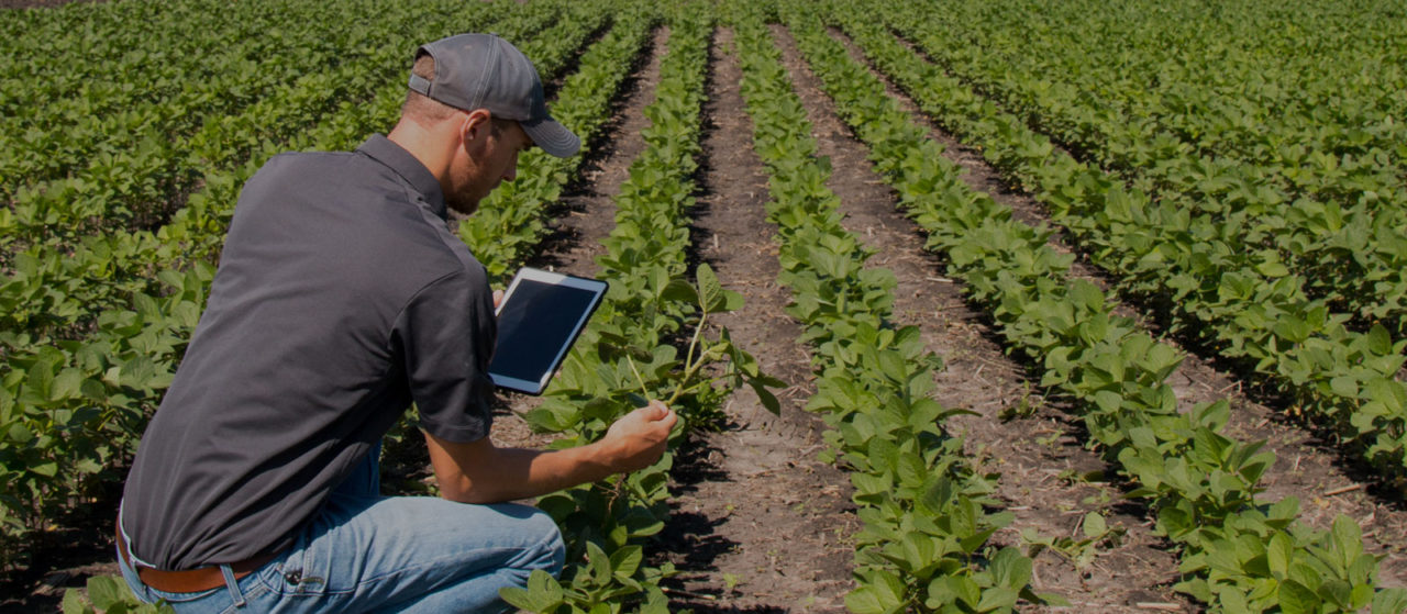 Technology Scouting & Licensing from global sources for accelerating ...