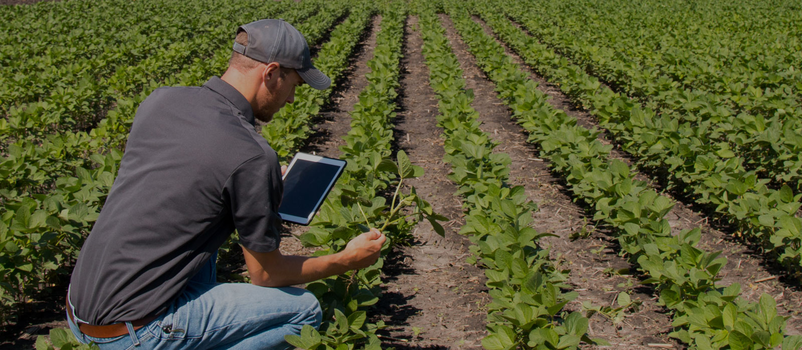 Technology Scouting & Licensing from global sources for accelerating ...