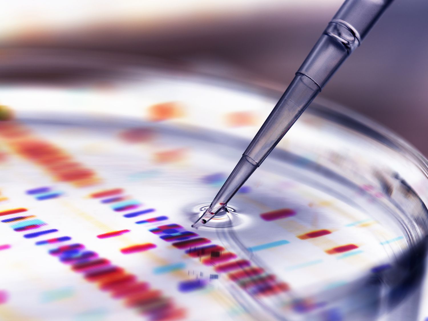 Growth Opportunity Assessment In Indian Pharma And Biotech Industry For Growth Opportunity Assessment In Indian Pharma And Biotech Industry For