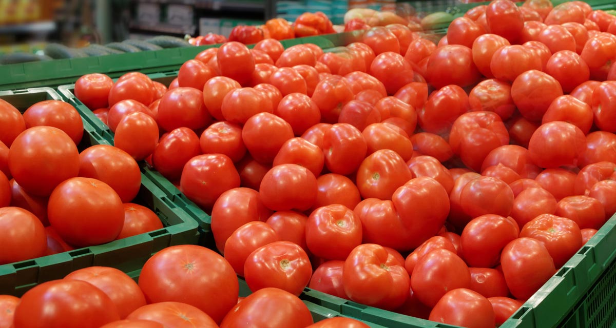 IP portfolio valuation for Agri-biotechnology innovation - long shelf ...