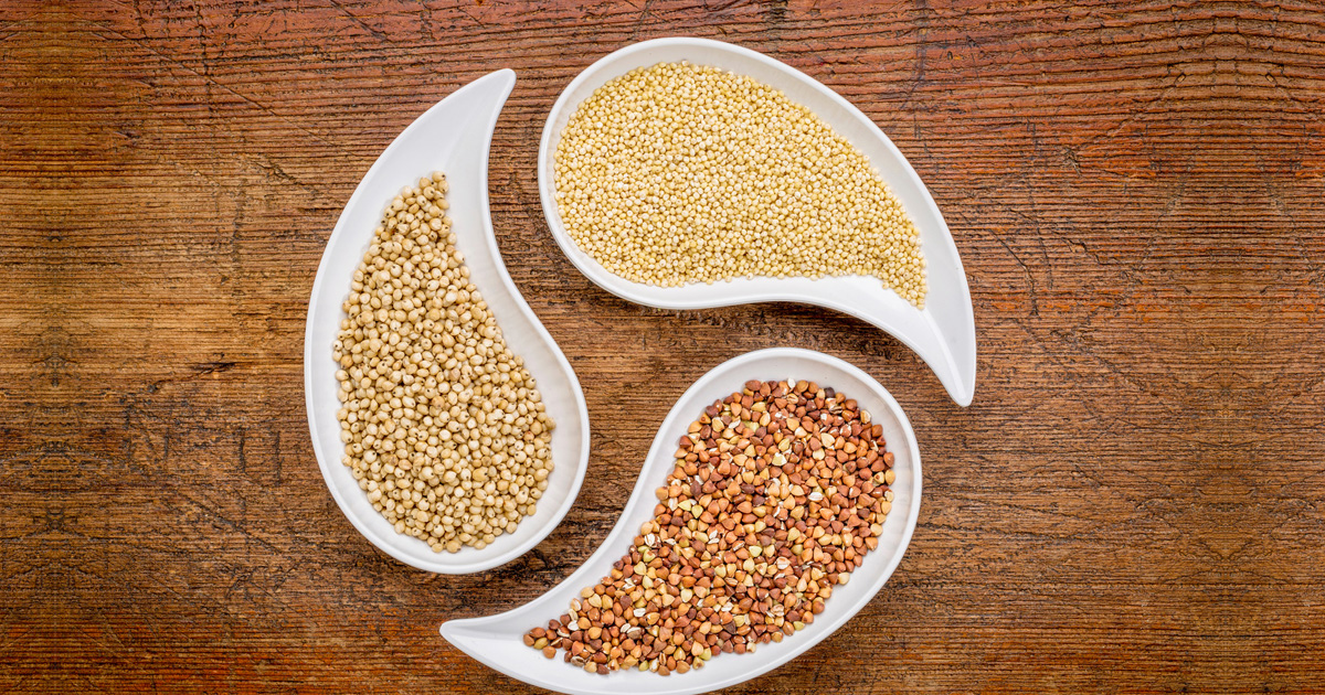 A Forecasted Impact Assessment for an Indian Seed Company aligned with ...