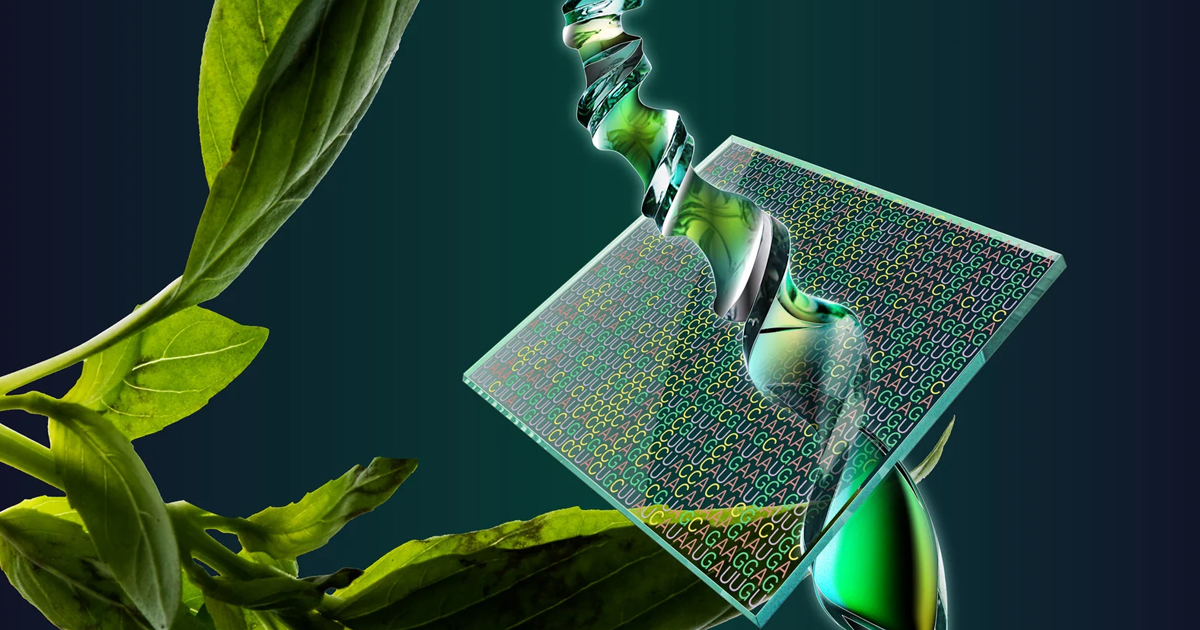 Technology Scouting & Licensing to Strengthen Crop Portfolios and Accelerate R&D